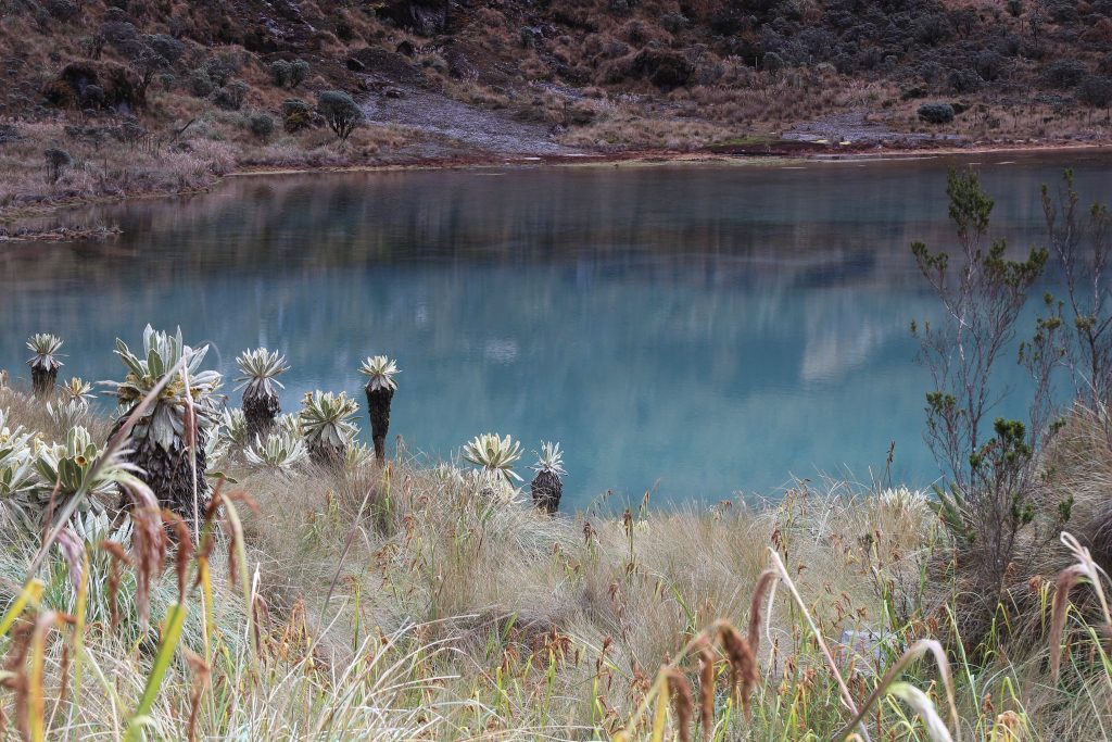 ISO/TC 228 y la sostenibilidad – SERVICIO DE ACREDITACIÓN ECUATORIANO